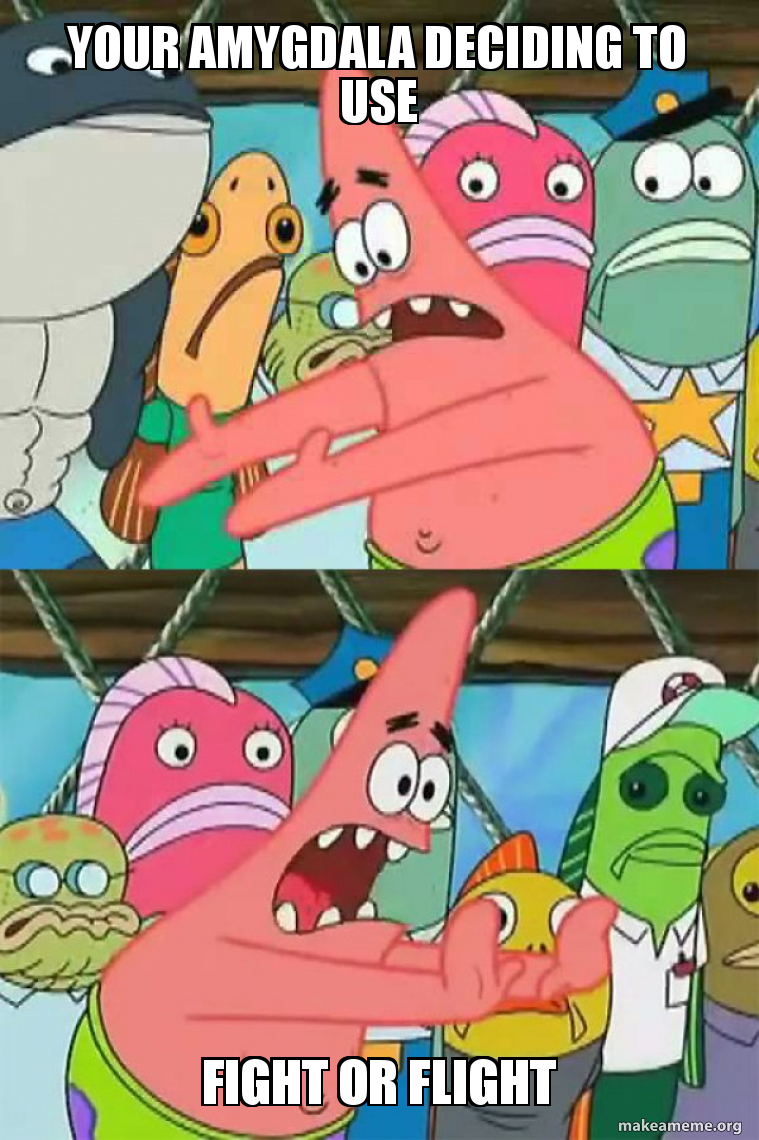 Your amygdala deciding to use fight or flight - Push It Somewhere Else ...