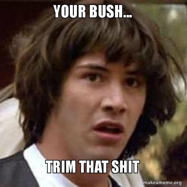Bush Trim Memes Feminine Memes & GIFs Imgflip
