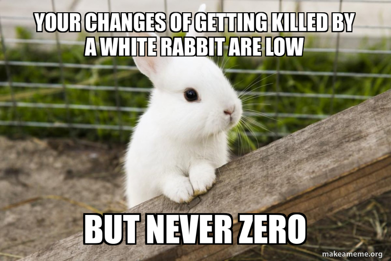 Your changes of getting killed by a white rabbit are low but never zero ...