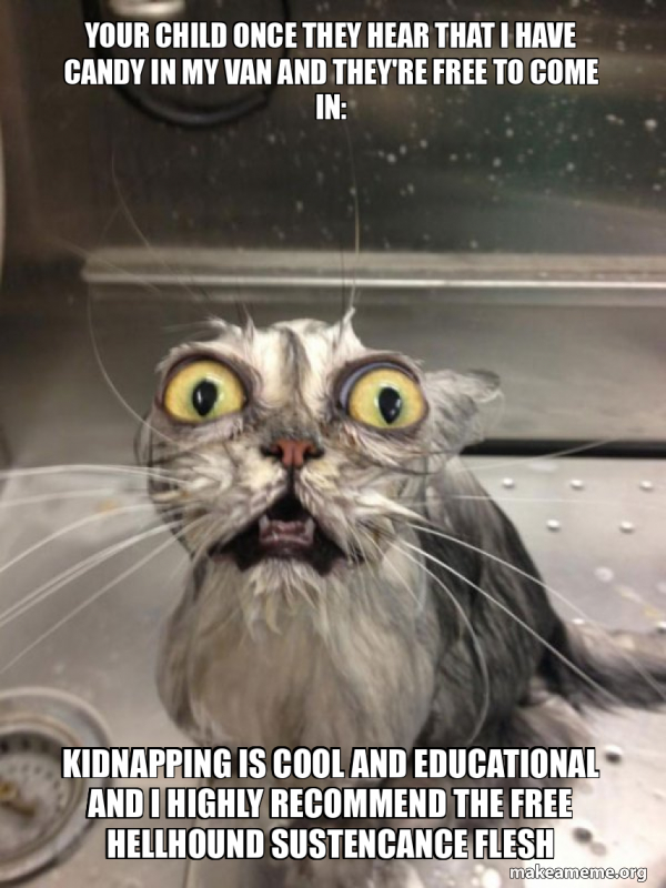 your child once they hear that i have candy in my van and they're free ...