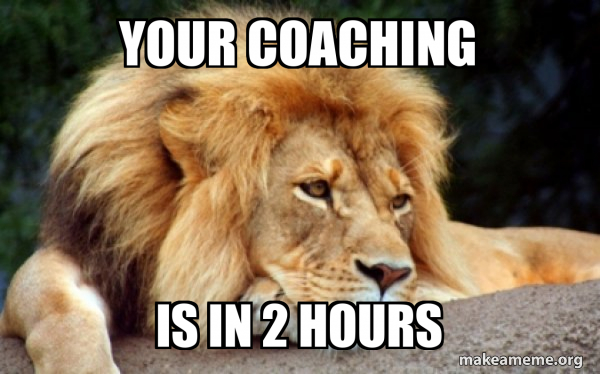 Your coaching Is in 2 hours - Confession Lion Meme Generator
