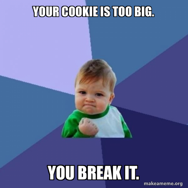 Your cookie is too big. You break it. - Success Kid Meme Generator