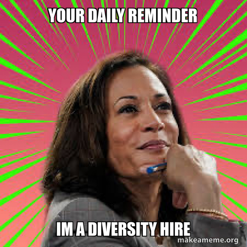 Your daily reminder Im a diversity hire Meme Generator