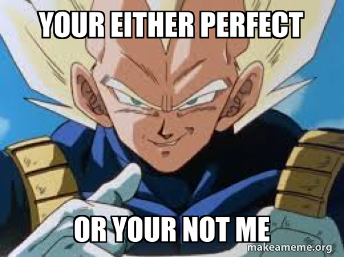 Your either perfect Or your not me Meme Generator