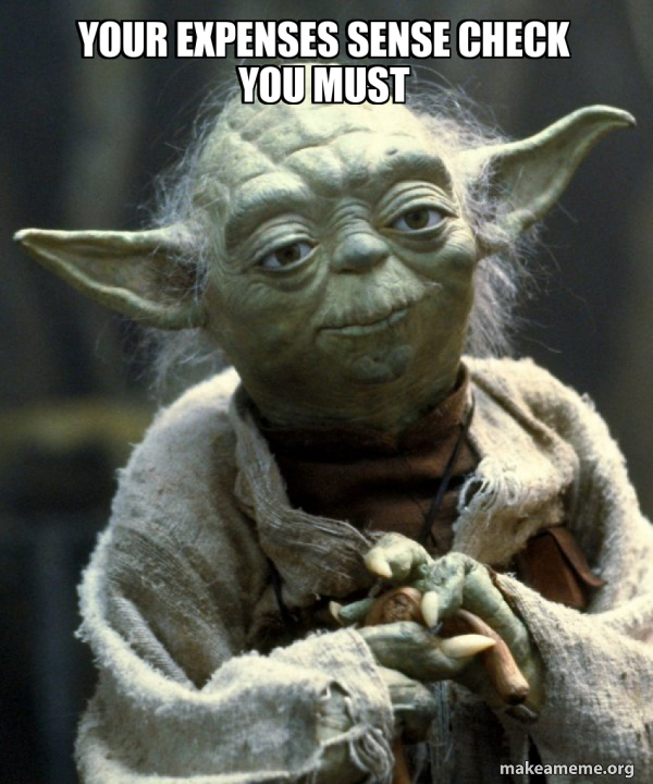 Your expenses sense check you must - Yoda Meme Generator