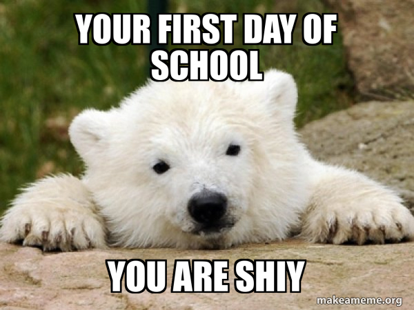 your first day of school you are shiy - Popular Opinion Bear Meme Generator