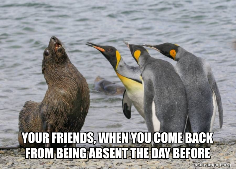 your friends, when you come back from being absent the day before Meme ...