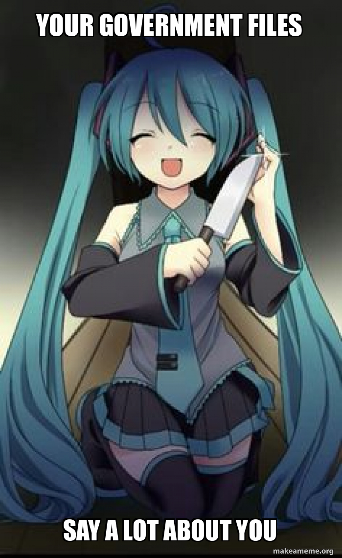 your government files say a lot about you Meme Generator