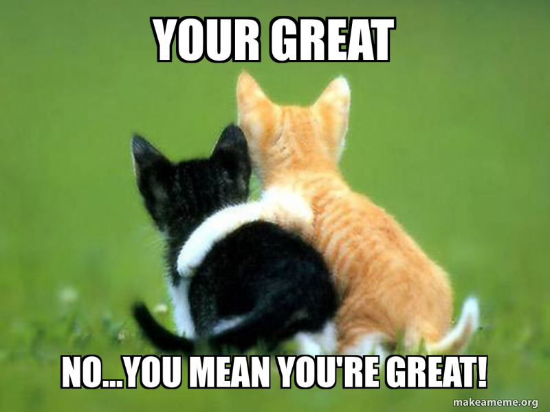 your great no...You mean you're great! Meme Generator