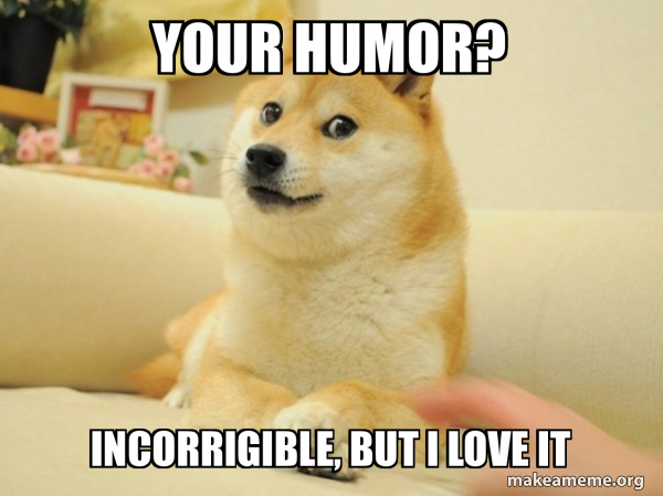 Your humor? Incorrigible, but i love it - Doge Meme Generator