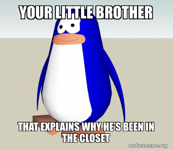 Your little brother That explains why he’s been in the closet Meme ...
