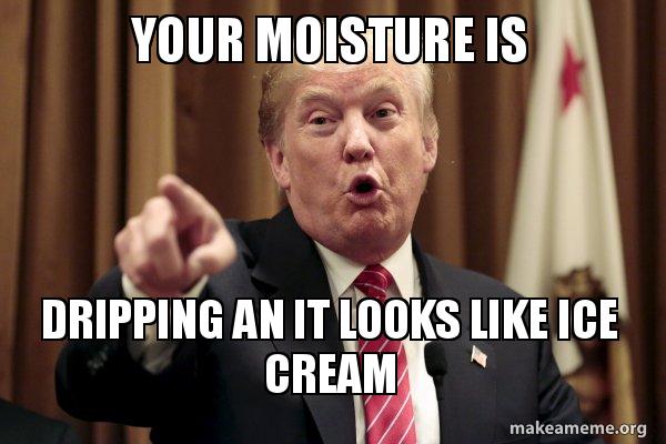 Your moisture is Dripping an it looks like ice cream - Donald Trump ...
