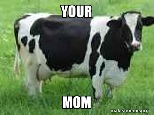 your mom Meme Generator