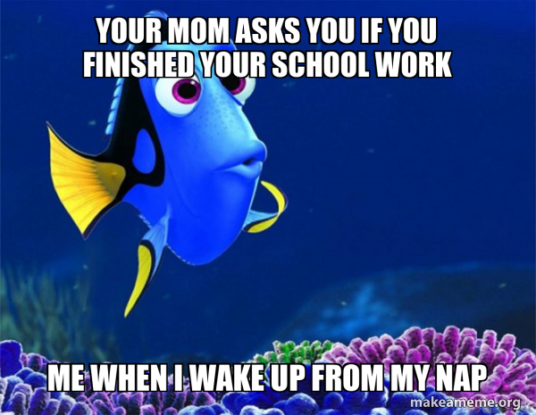 Your mom asks you if you finished your school work Me when I wake up ...