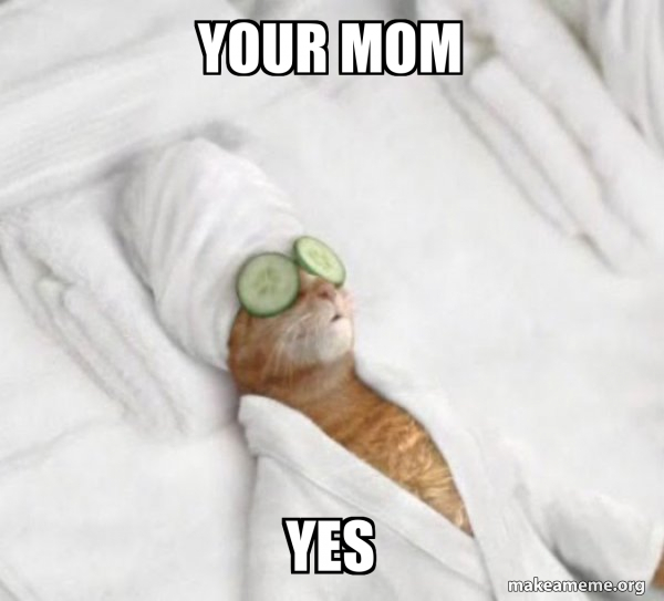 your mom yes - Pampered Cat Meme | Make a Meme