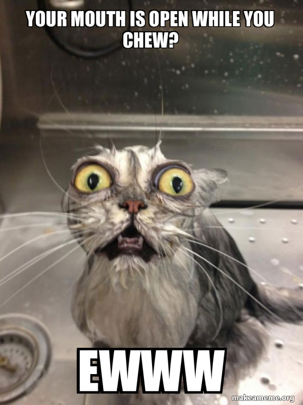 Your mouth is open while you chew? Ewww - Cat bath Meme Generator