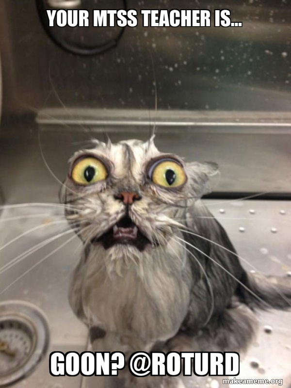 your mtss teacher is... goon? @roturd - Cat bath Meme Generator