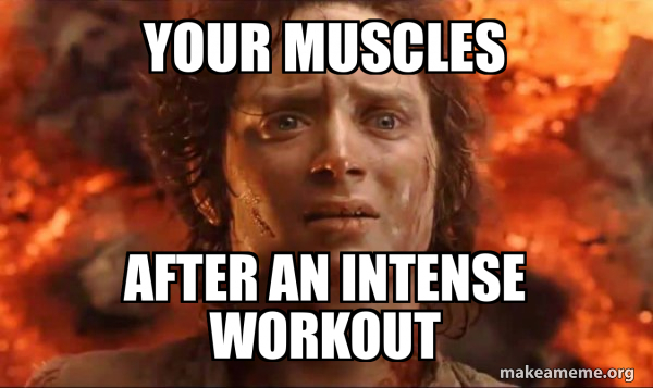 Your muscles After an intense workout - Frodo it's over it's done Meme ...