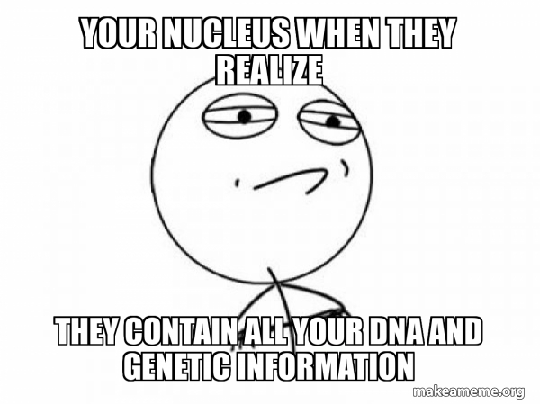 Your nucleus when they realize they contain all your DNA and genetic ...