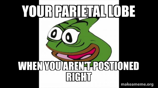 Your Parietal Lobe When You aren't postioned right - Pepega Meme Generator