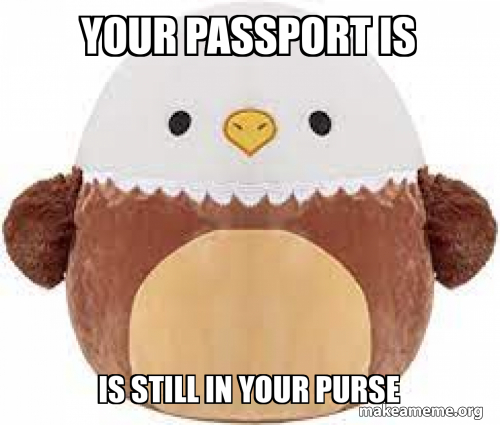 your passport is is still in your purse Meme Generator
