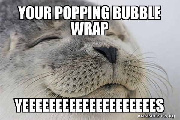 Your popping bubble wrap YEEEEEEEEEEEEEEEEEEEES - Satisfied Seal Meme ...