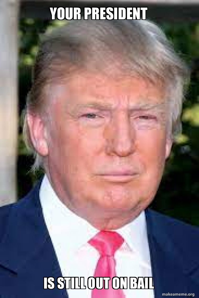 YOUR PRESIDENT IS STILL OUT ON BAIL Meme Generator