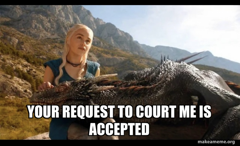 Your REQUEST TO COURT ME IS ACCEPTED Meme Generator