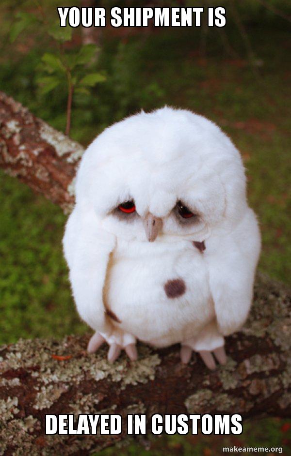 Your shipment is delayed in customs - Sad Owl Meme Generator