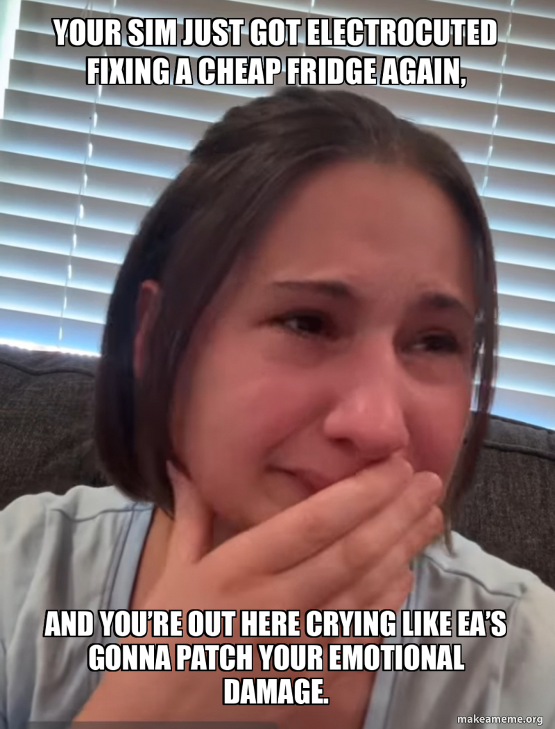 your Sim just got electrocuted fixing a cheap fridge again, and you’re out here crying like EA’s ...