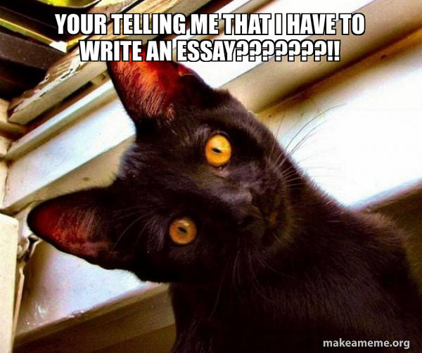Your telling me that I have to write an essay???????!! - Overly ...