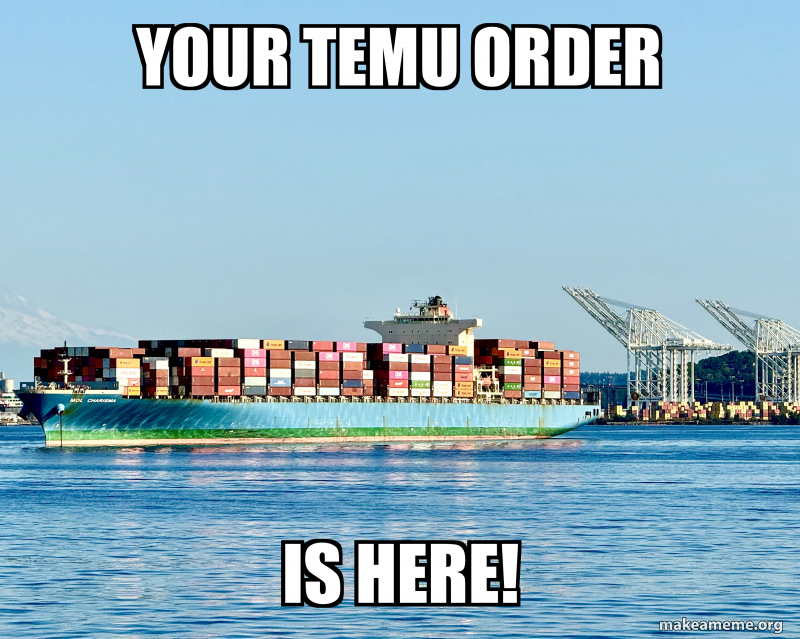 Your temu order Is here! Meme Generator