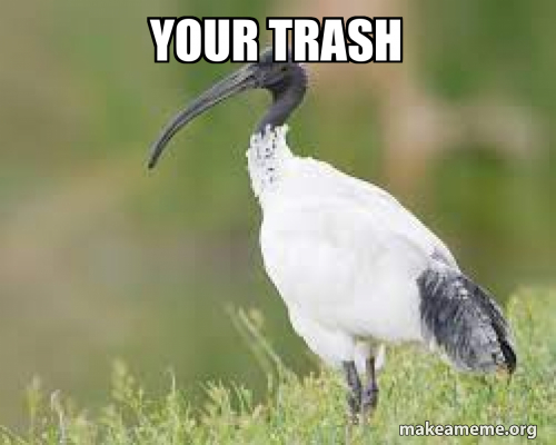your trash Meme Generator