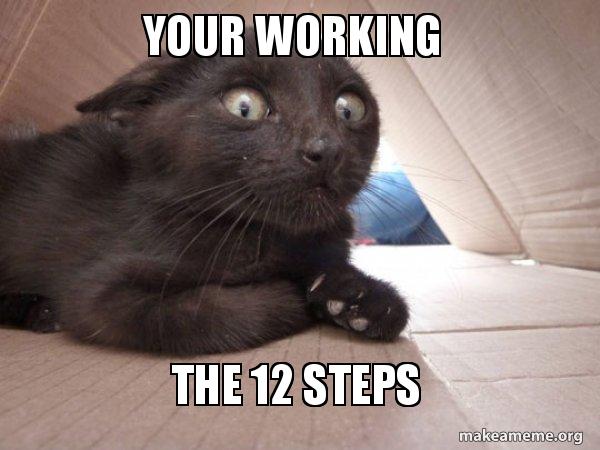 12th Step Memes Zabihullah Atal On X: "Expert Opinion On Passing