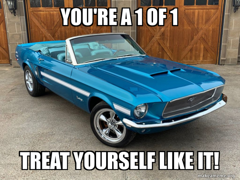 You're a 1 of 1 treat yourself like it! Meme Generator
