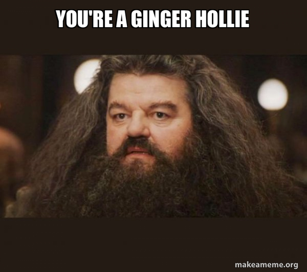 You're a ginger Hollie - Hagrid - I should not have said that Meme ...