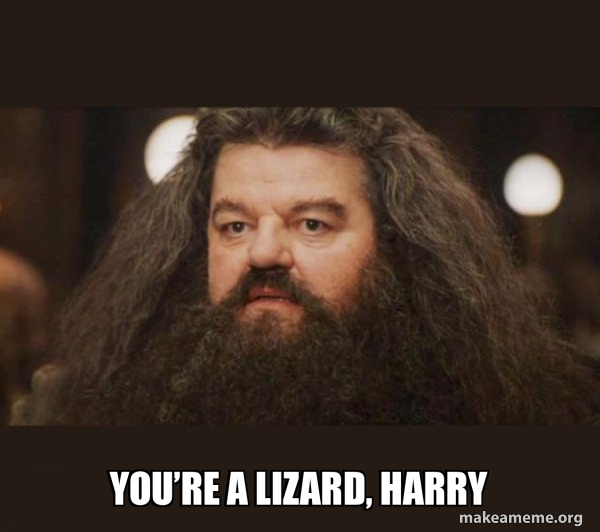 You’re a lizard, Harry - Hagrid - I should not have said that Meme ...