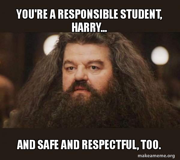 You're a responsible student, Harry... and safe and respectful, too ...