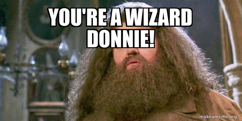 you're a wizard donnie! Meme Generator