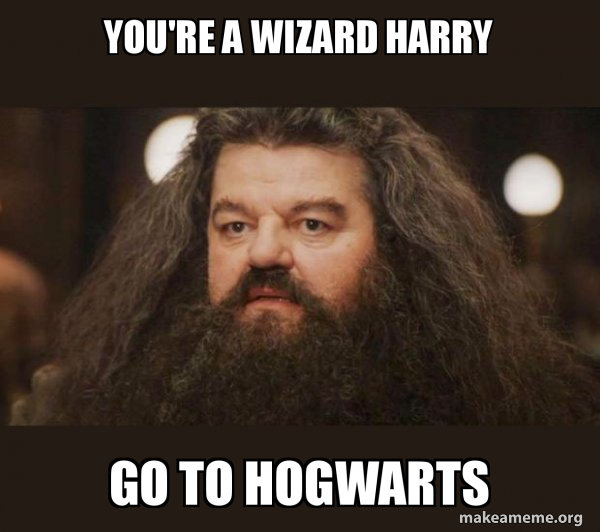 you're a wizard harry go to hogwarts - Hagrid - I should not have said ...