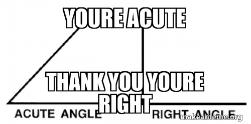 youre acute thank you youre right - math Meme Generator