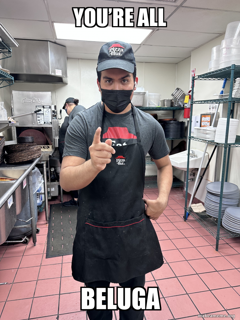 You’re all Beluga Meme Generator