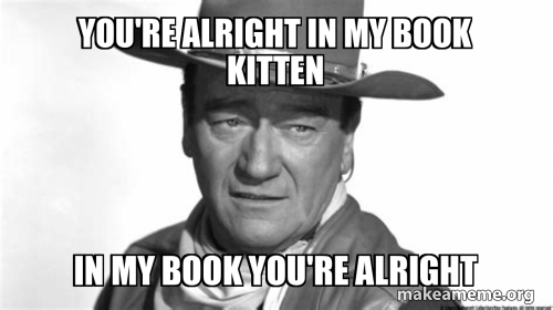 you're alright in my book kitten in my book you're alright Meme Generator