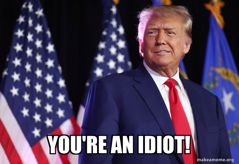 You're an idiot! Meme Generator