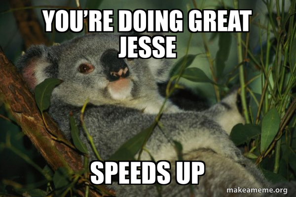 You’re doing great Jesse Speeds up - Laid Back Koala Meme Generator