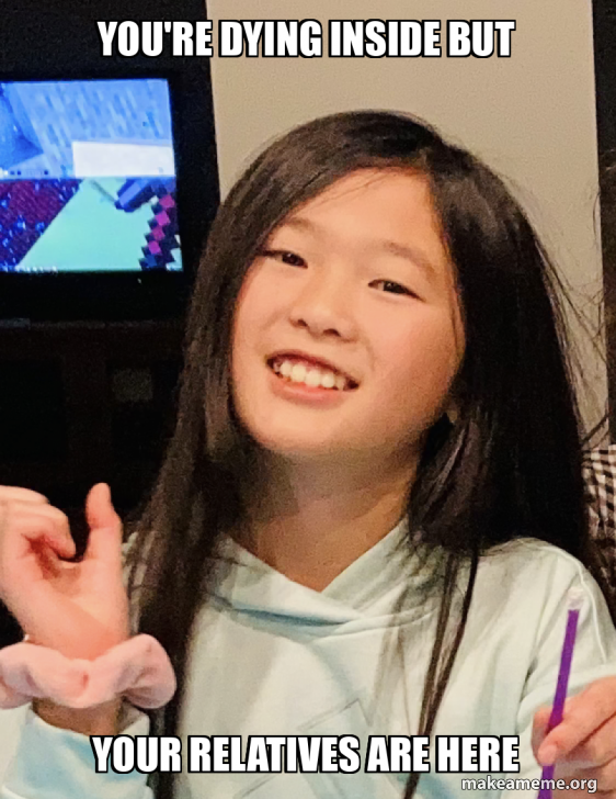 You're dying inside but your relatives are here Meme Generator