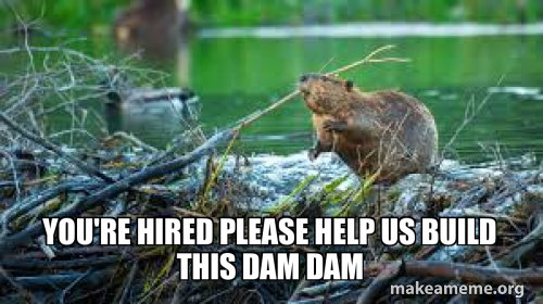 YOU'RE HIRED PLEASE HELP US BUILD THIS DAM DAM Meme Generator