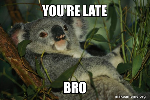 You're late bro - Laid Back Koala Meme Generator