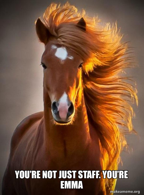 You’re not just staff. You’re Emma - Ridiculously photogenic horse Meme ...