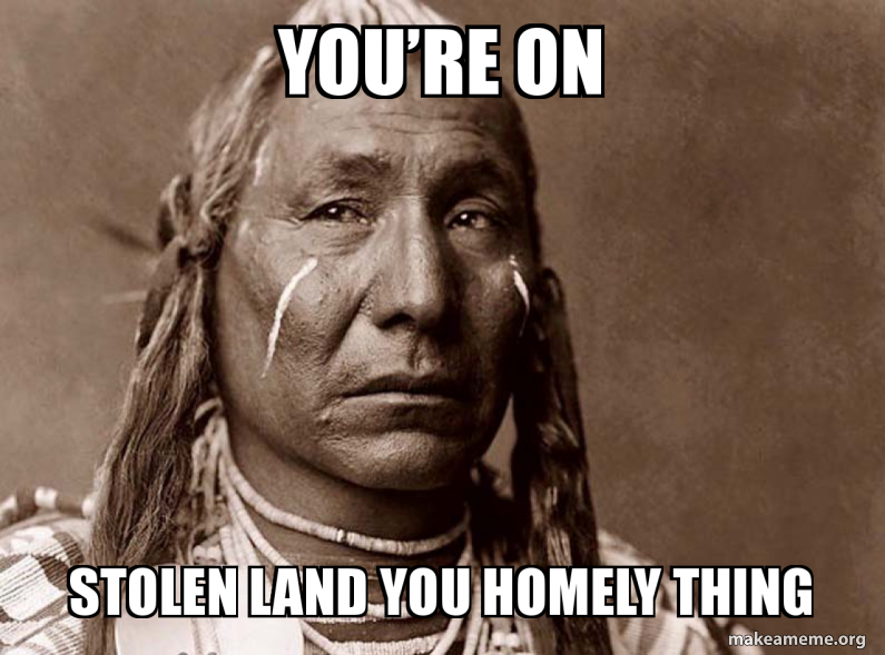 Youâ€™re on StoLen land yoU homely thing Meme Generator